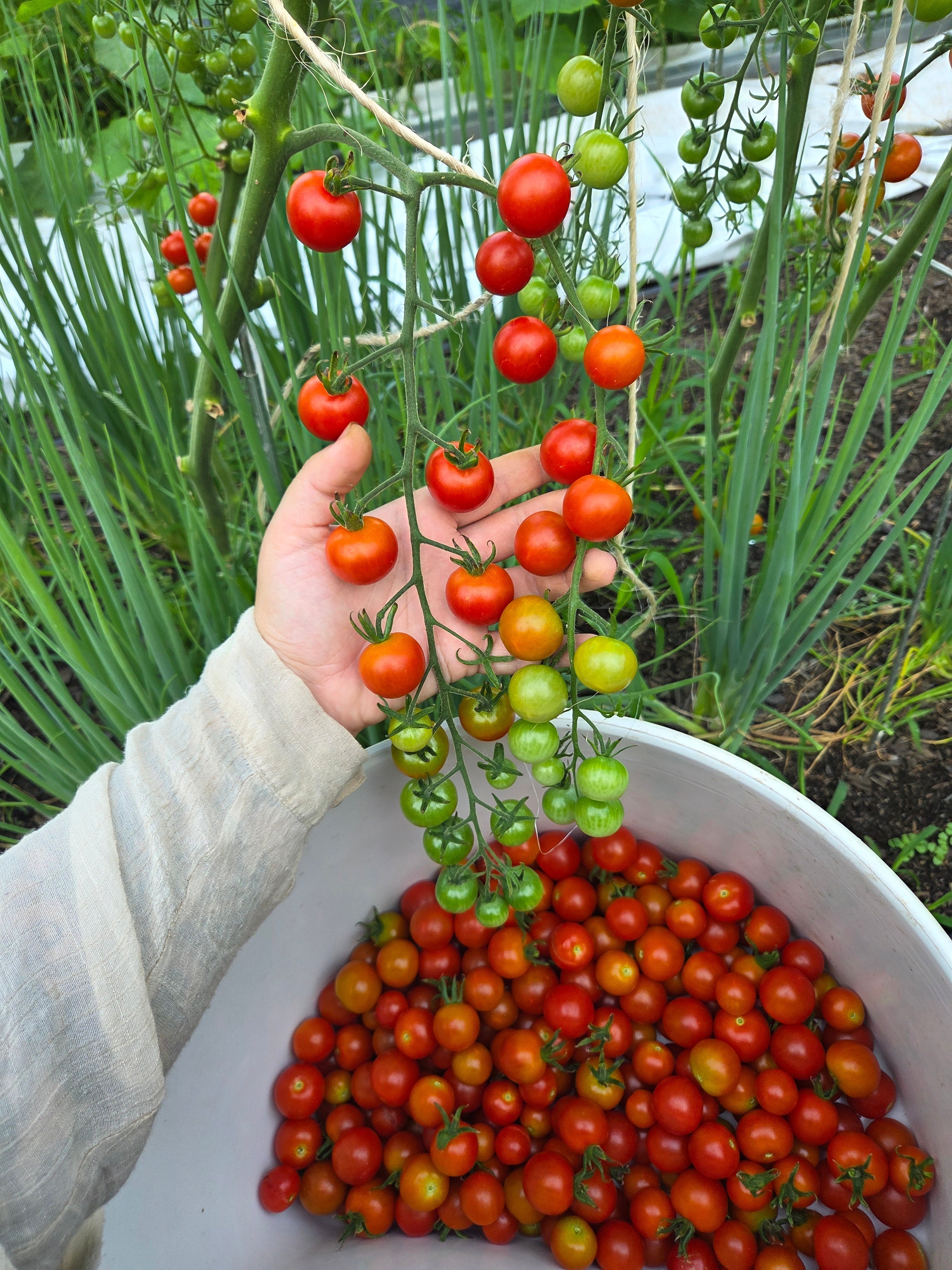 Encompass Farm: Beyond Organic Veggies, Flowers + Goods